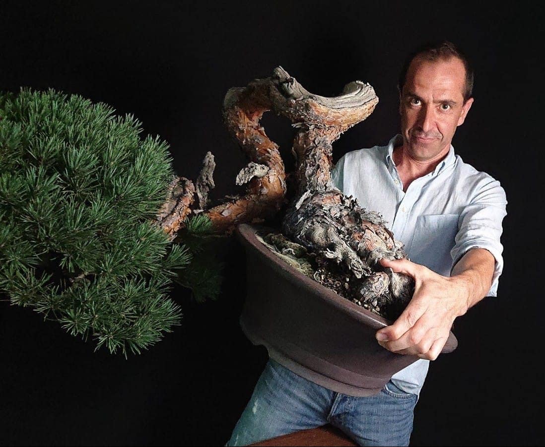 Quíenes somos - Estudio Bonsái David Benavente